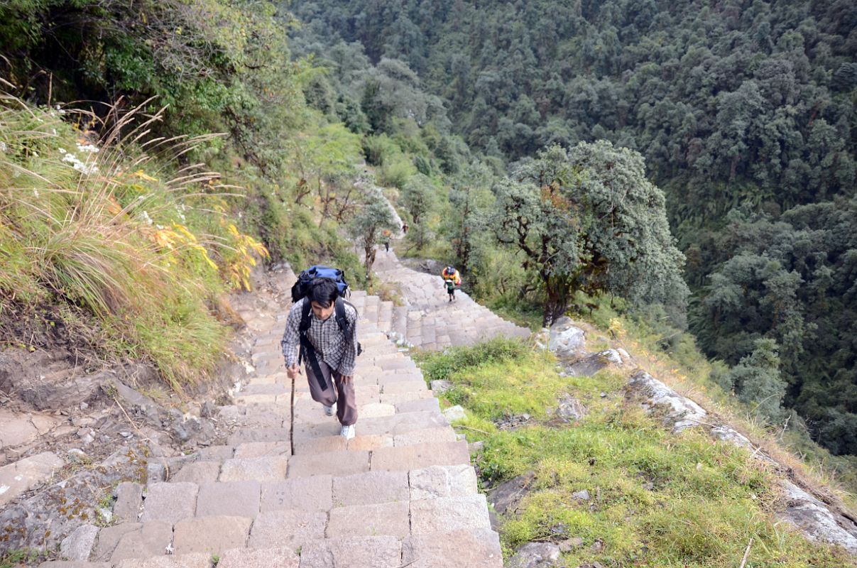 15 Descending The Steps Toward Bamboo From Sinuwa On Trek To Annapurna ...